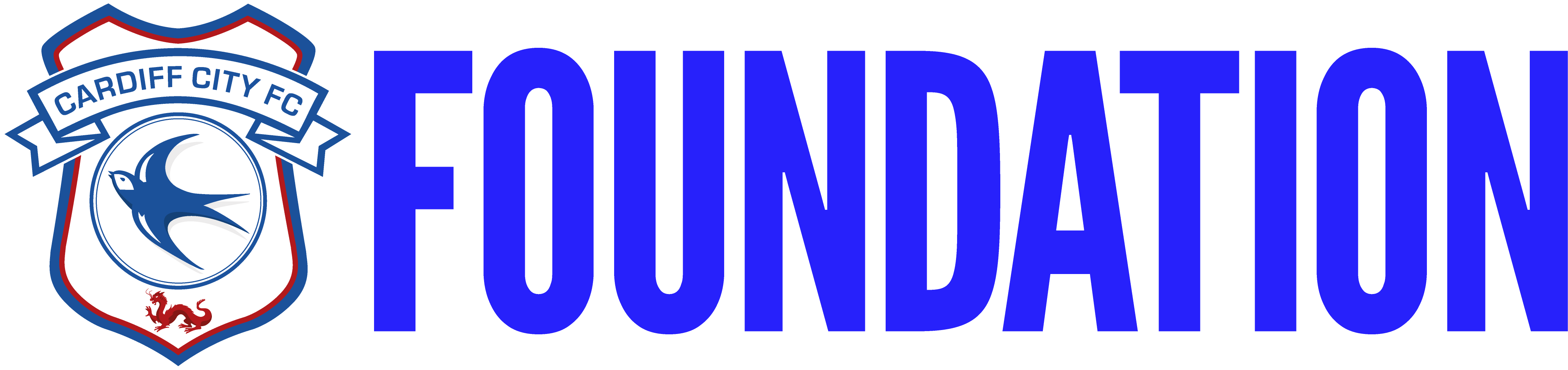 Cardiff City FC Foundation | Our Trustees